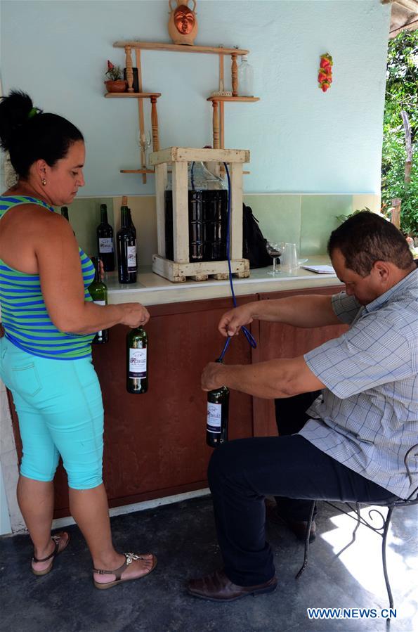 Artisanal winemaking finds fertile ground in central Cuba_English ...