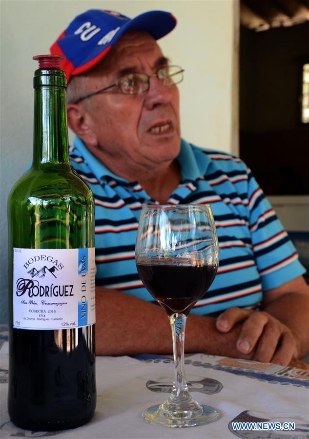 Artisanal winemaking finds fertile ground in central Cuba_English ...