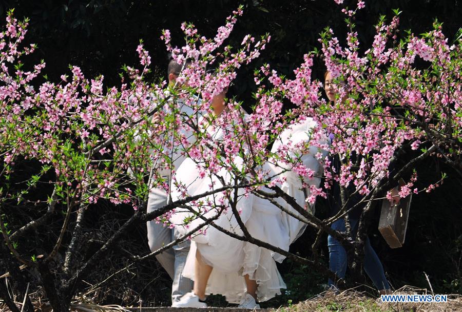 New couples hold wedding ceremonies at peach forest in east China ...