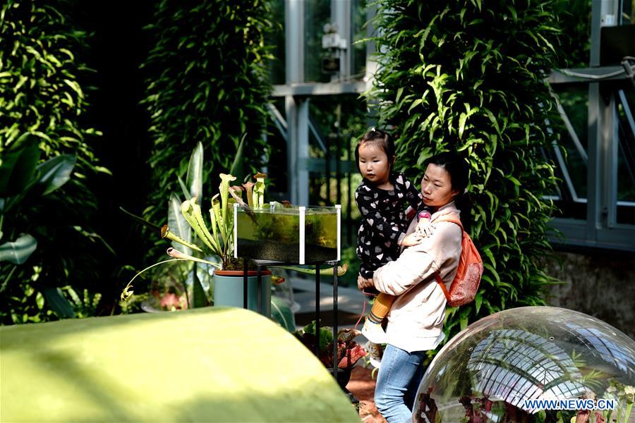 2nd Insectivorous Plant Exhibition held in Shanghai_English__China ...