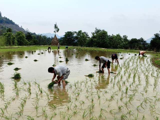 Farmland atop cliff offers unique views in Hunan_English__China Youth ...