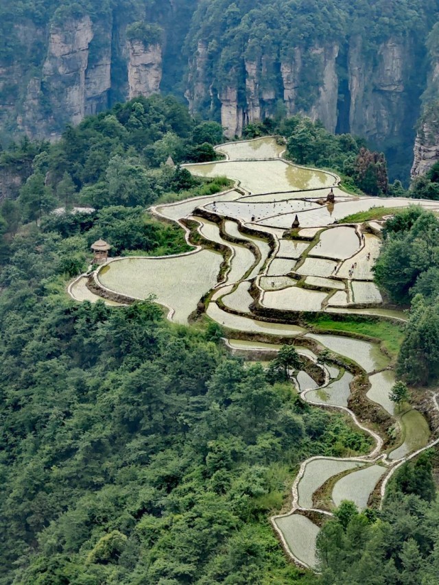 Farmland atop cliff offers unique views in Hunan_English__China Youth ...