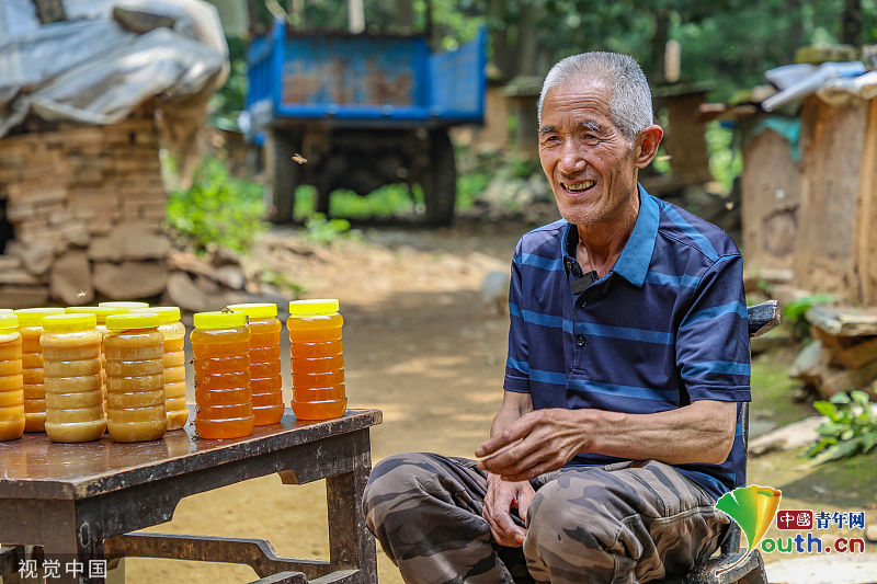 Beekeeping in gardens makes sweet life_English__China Youth International