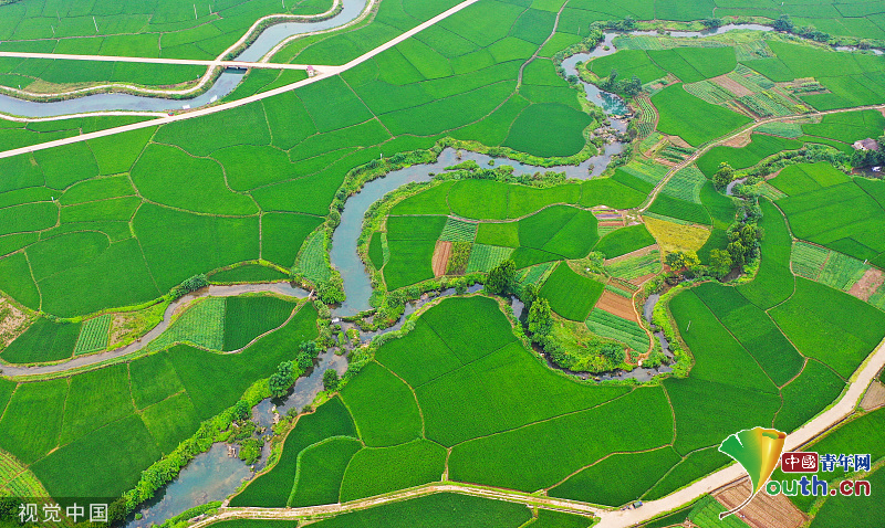 Winding river flew through lush green rice fields in Hunan_English ...