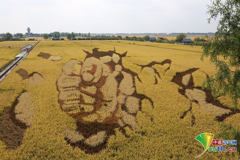 Shenyang's "Dreams of rice" space entered prime viewing season_English ...