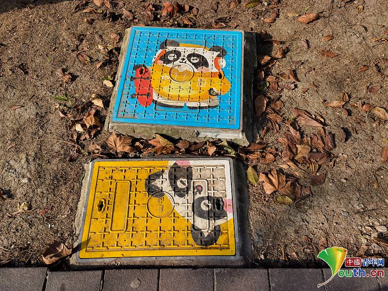 Colorfully painted panda transformer boxes debuted on the streets in ...
