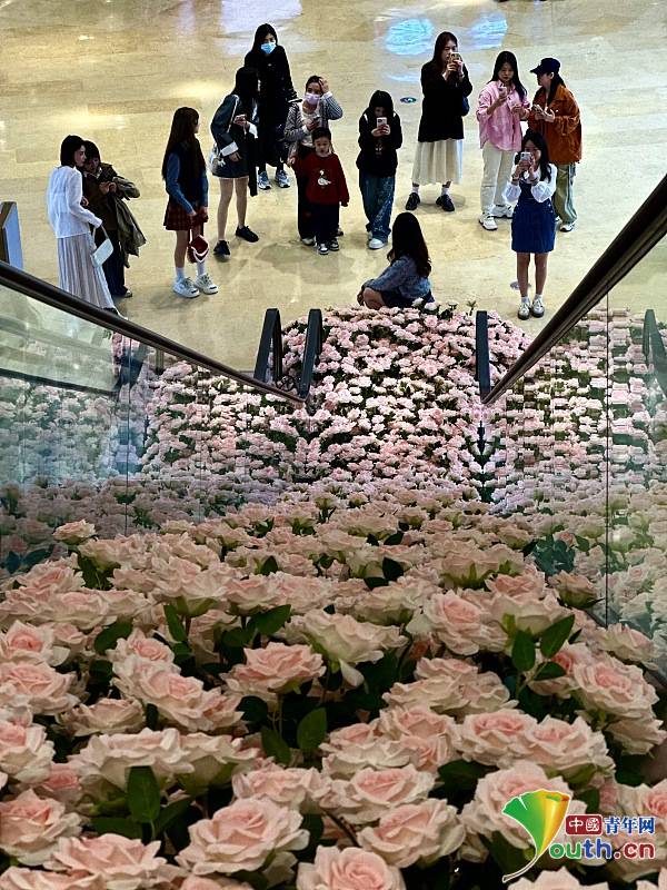 One Mall in Xiamen unveiled pink "rose waterfall" for the arrival of ...