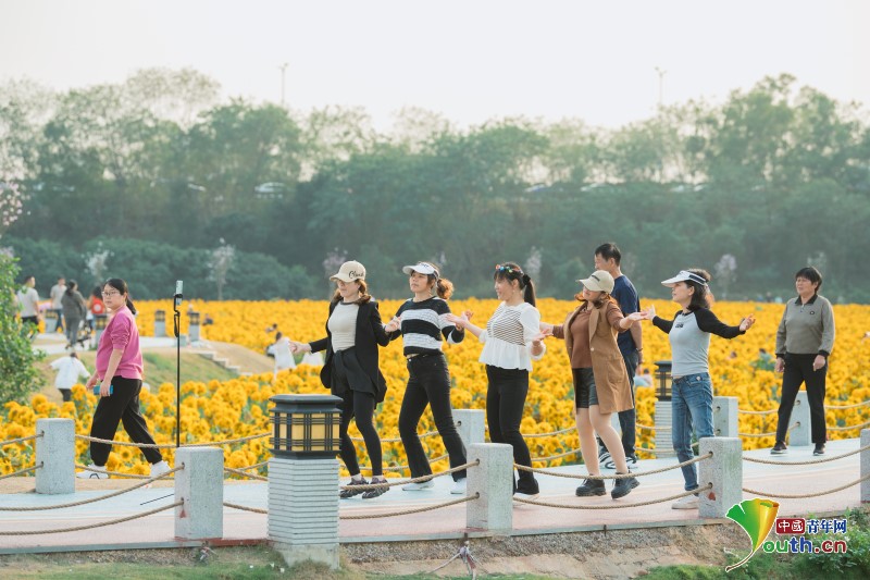 Citizens walk in sunflowers sea in Dongguan_English__China Youth ...