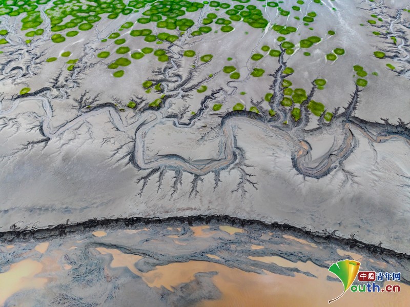 Dragon-shape tidal “tree” appears in Qiantang River area_English__China ...