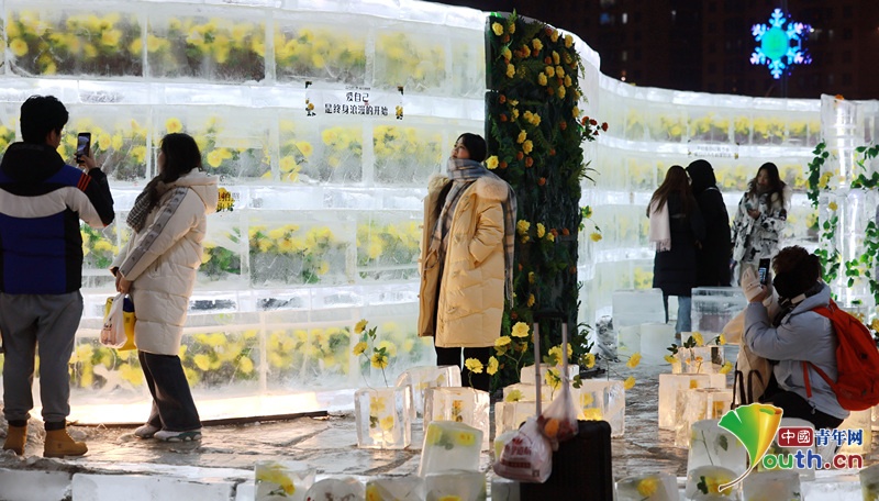 6,000 roses in ice put on street, attracting tourists_English__China ...
