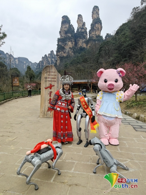 Humanoid robot debuts at scenic spots in Zhangjiajie, Hunan_English ...