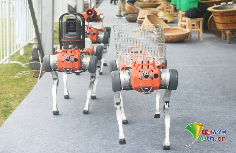 Intelligent forest fire-fighting robotic dogs debut in Hangzhou_English ...