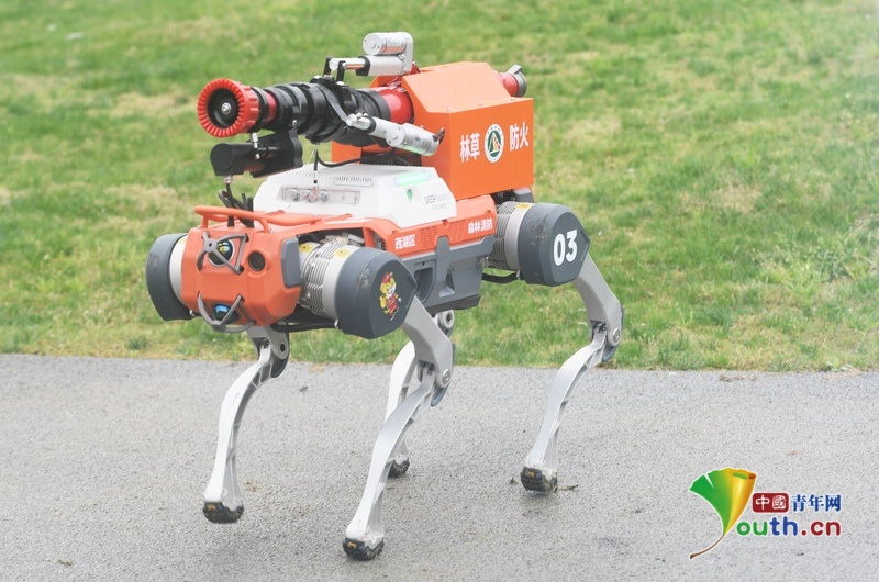 Intelligent forest fire-fighting robotic dogs debut in Hangzhou_English ...