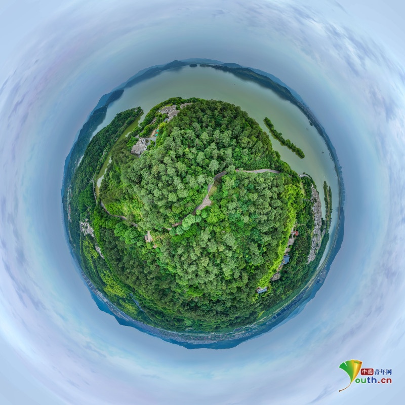 50,000 square meters duckweed creates therapeutic "Matcha Forest ...