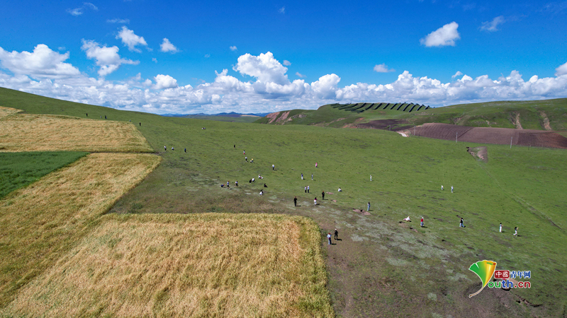 The Meiren Prairie attracts a growing number of visitors_English__China ...