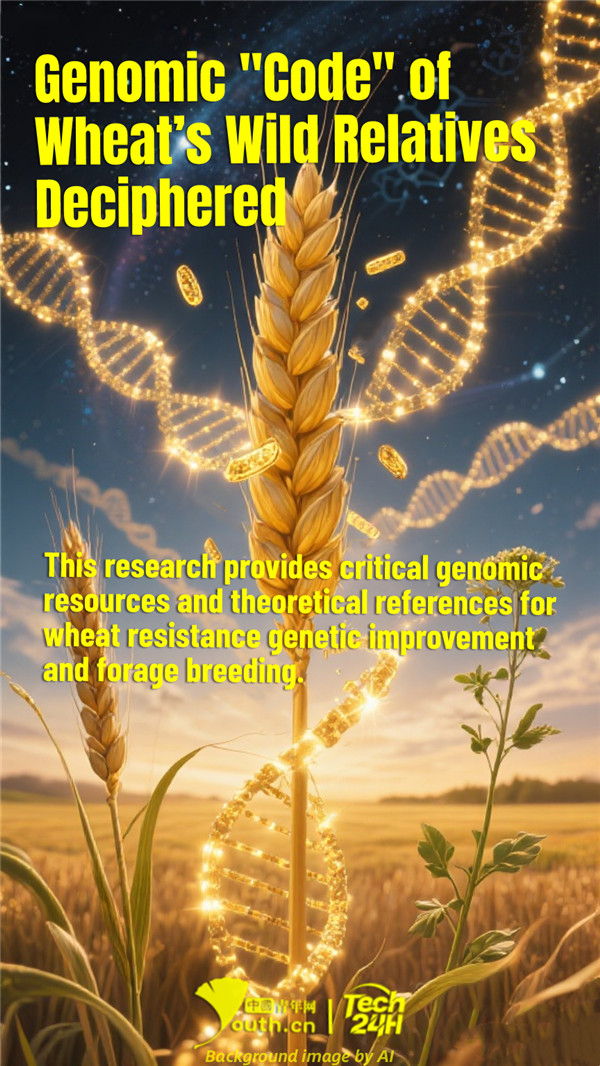 Genomic "Code" of Wheat's Wild Relatives Deciphered_English__China ...