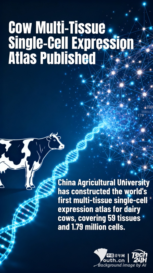 Cow Multi-Tissue Single-Cell Expression Atlas Published_English__China ...